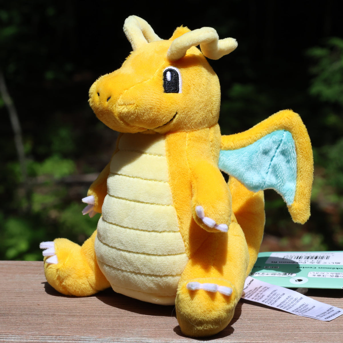 Dragonite Pokémon Fit – teda collectibles